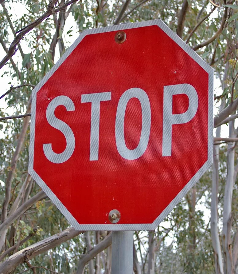 Dashboard Jesus would cringe at redlight and stop sign habits ...